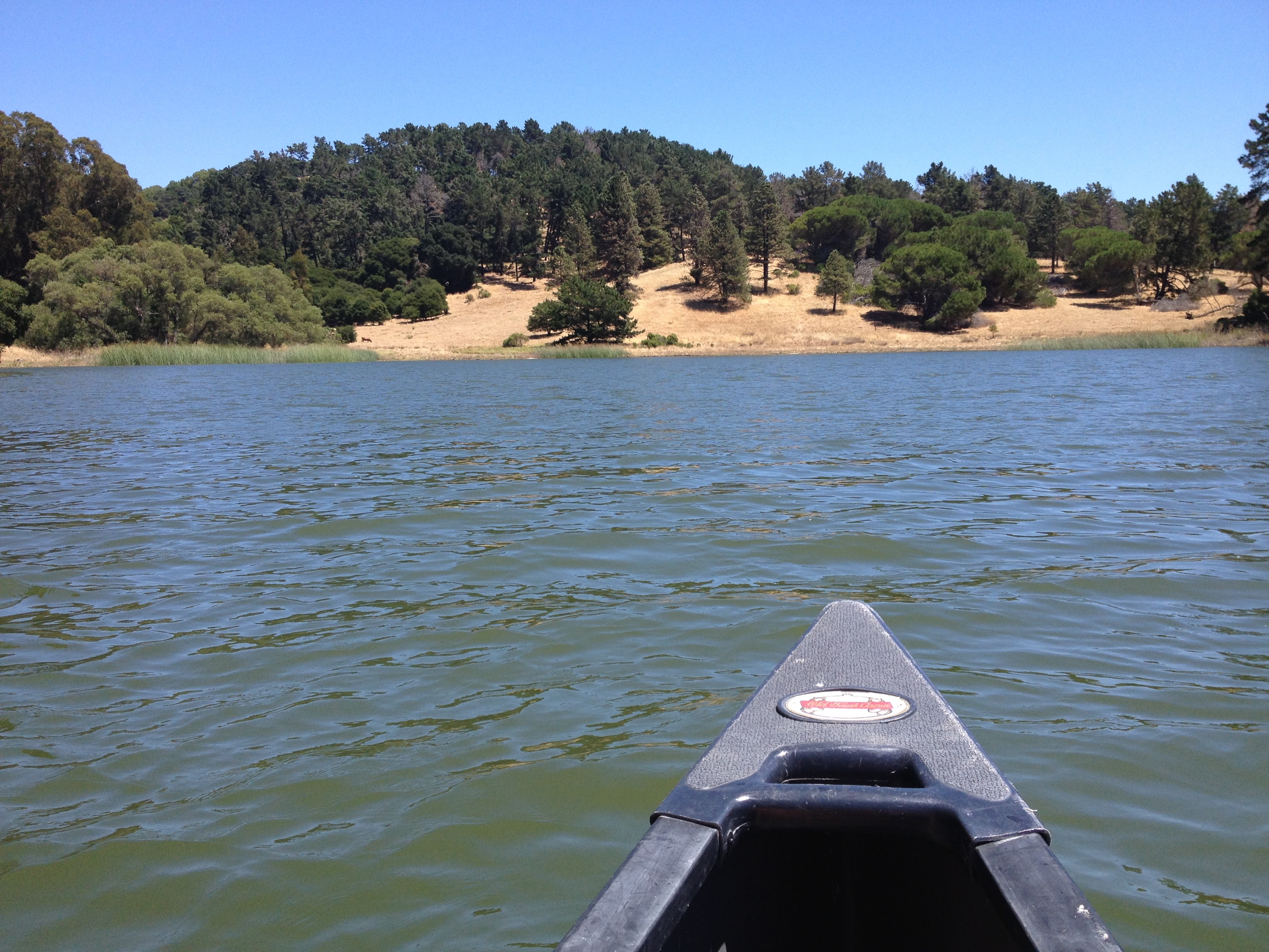 Canoeing San Pablo Reservoir | Bay Area Families Outside